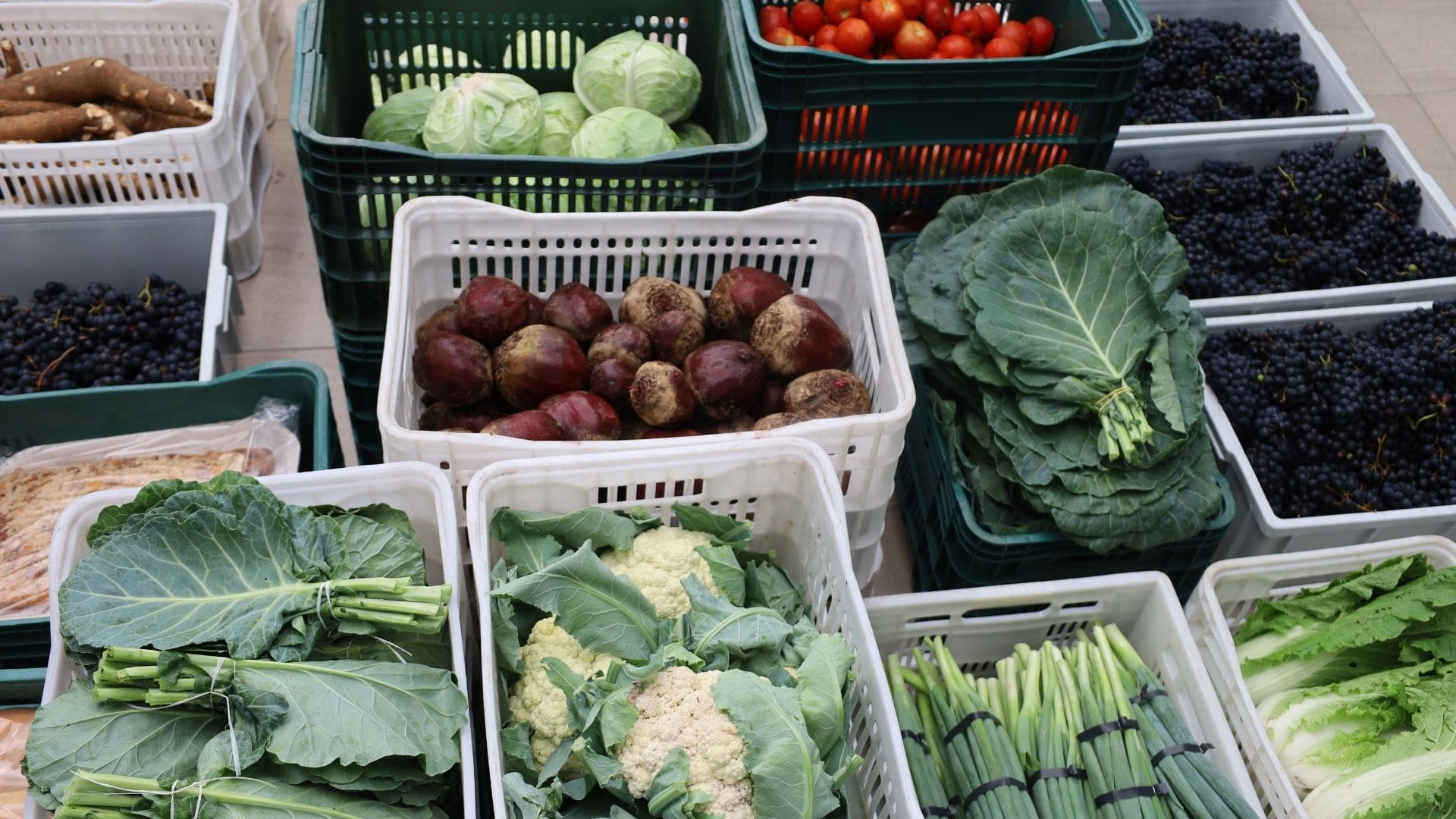 Canoinhas inicia distribuição de alimentos do PAA para famílias e ...